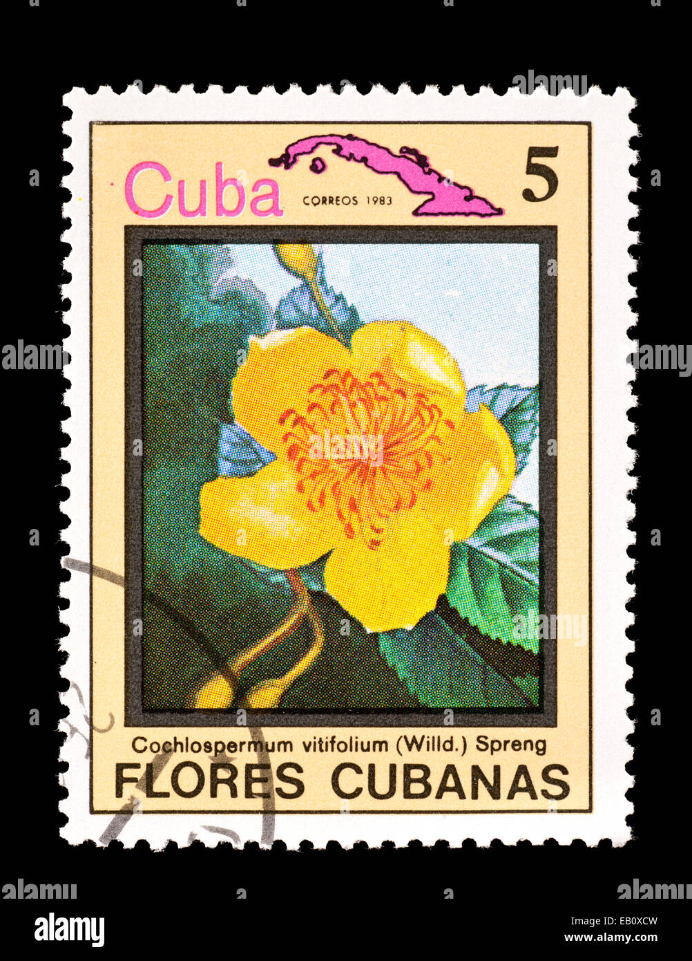 Postage stamp from Cuba depicting flowers of the Silk Cottontree ...