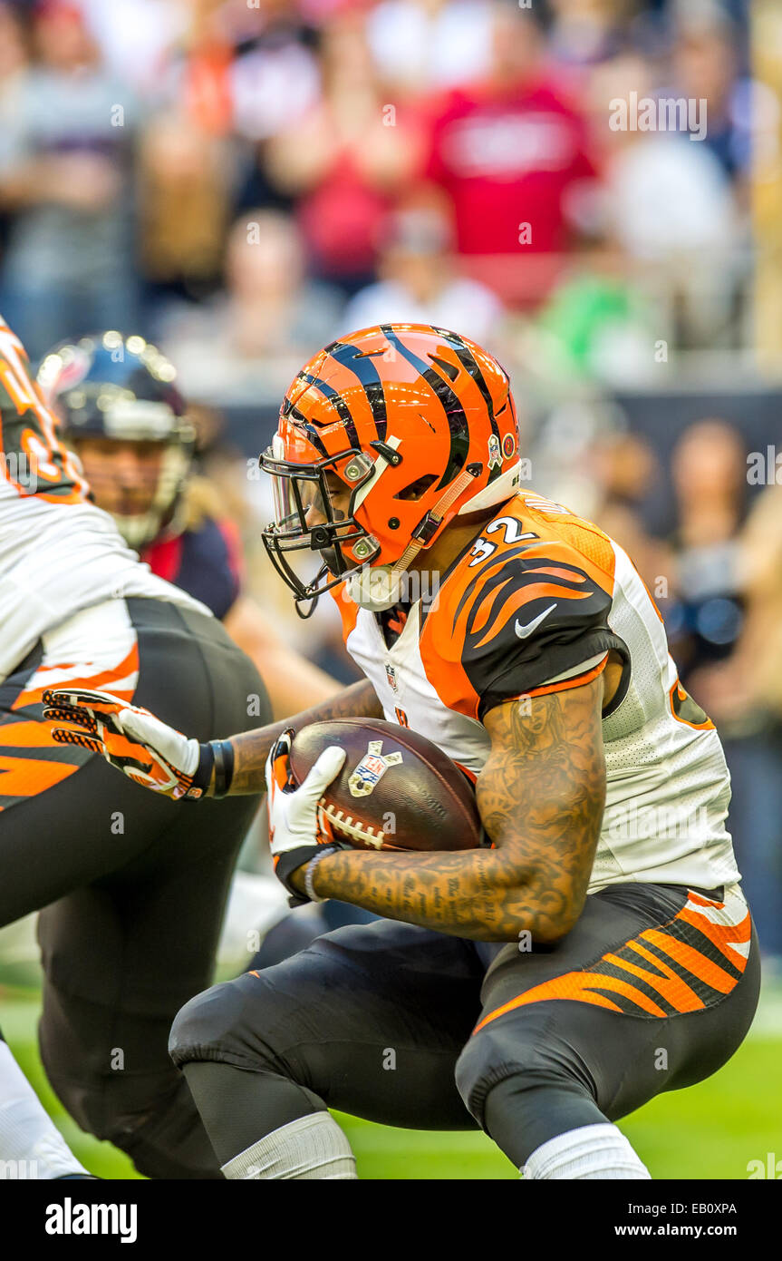 November 23, 2014 - Houston, Texas, USA: Cincinnati Bengals running ...