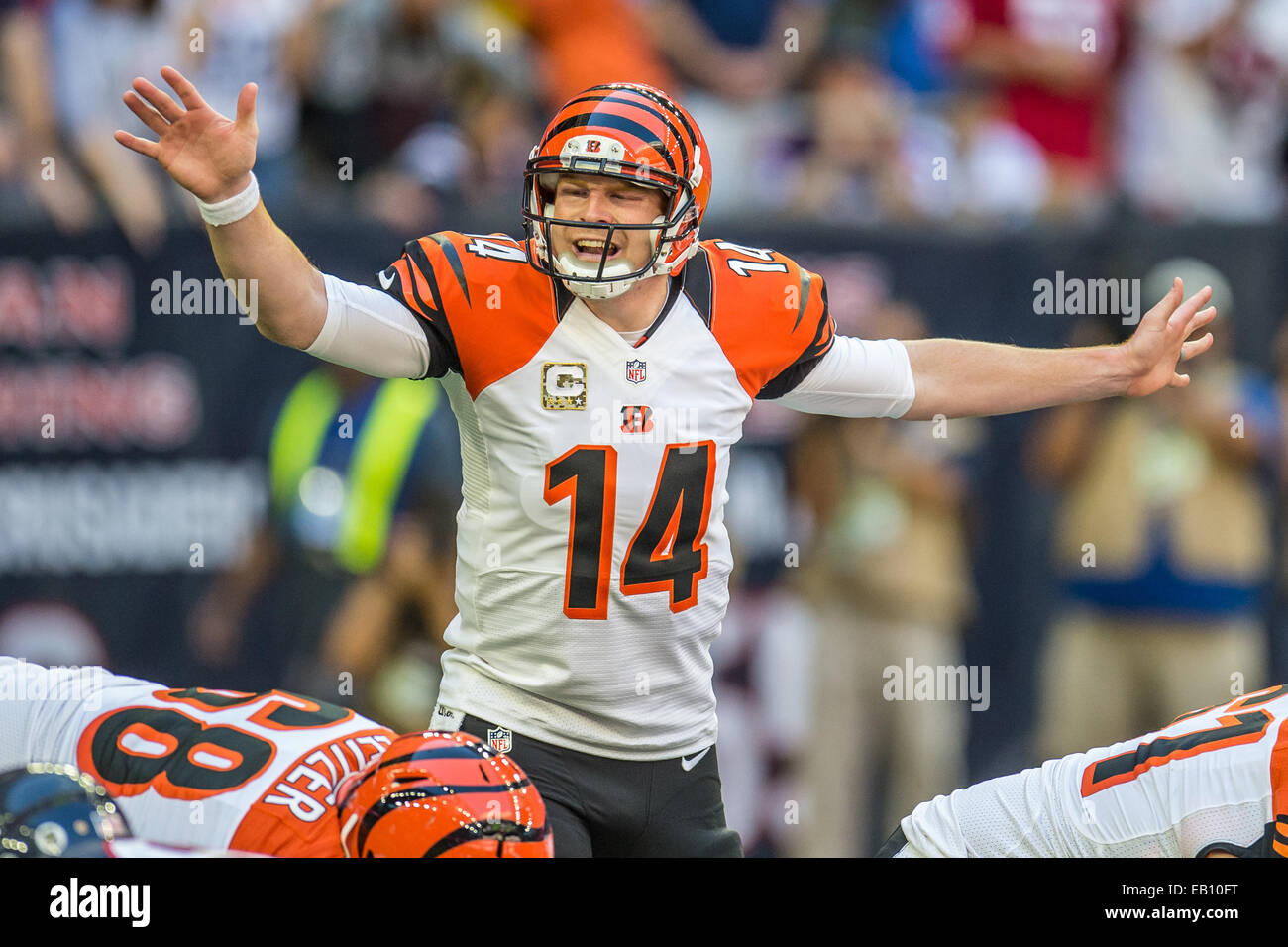 1st 13 of 14 jpg hi-res stock photography and images - Alamy