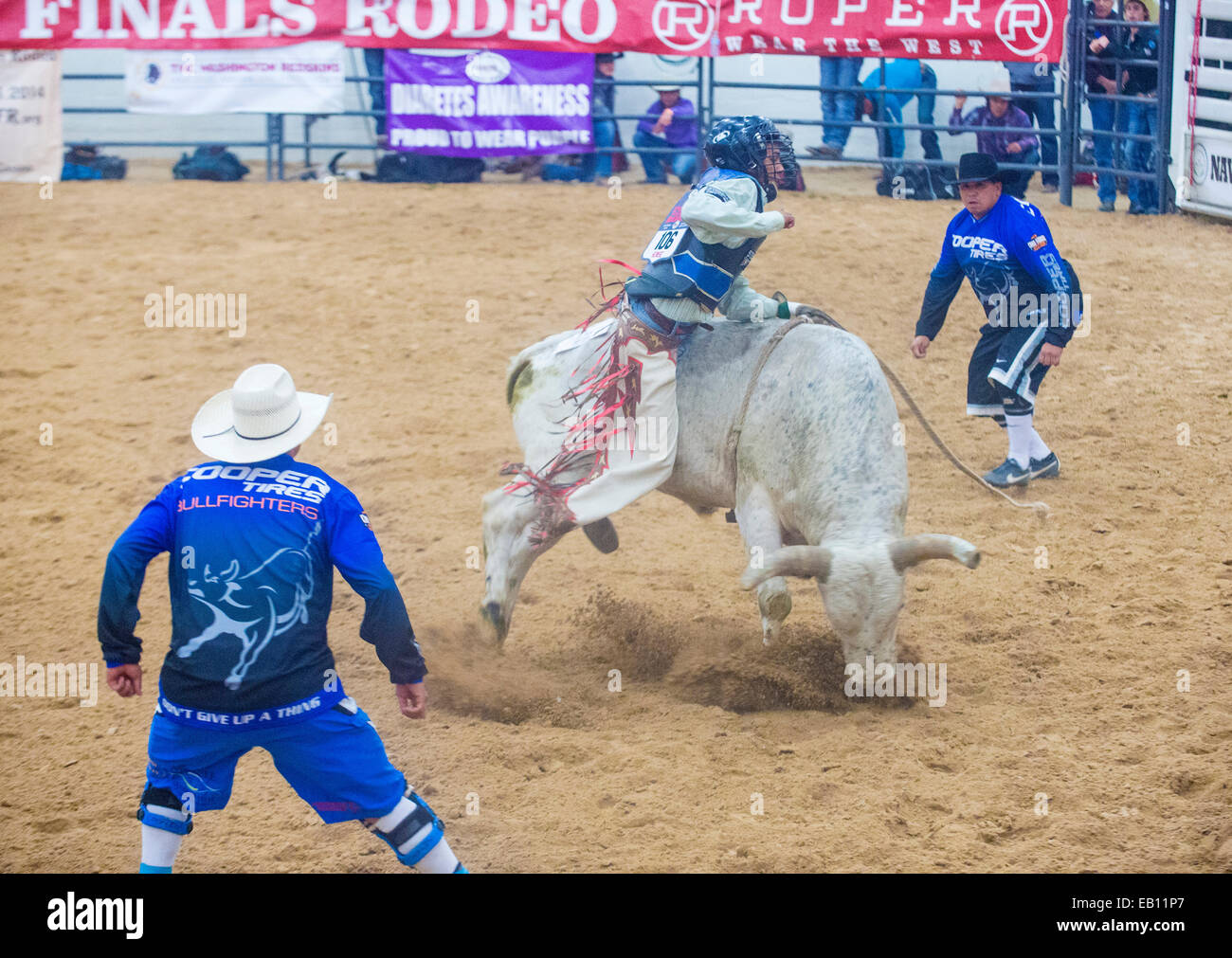 Cowboy Participating in a Bull riding Competition at the Indian ...