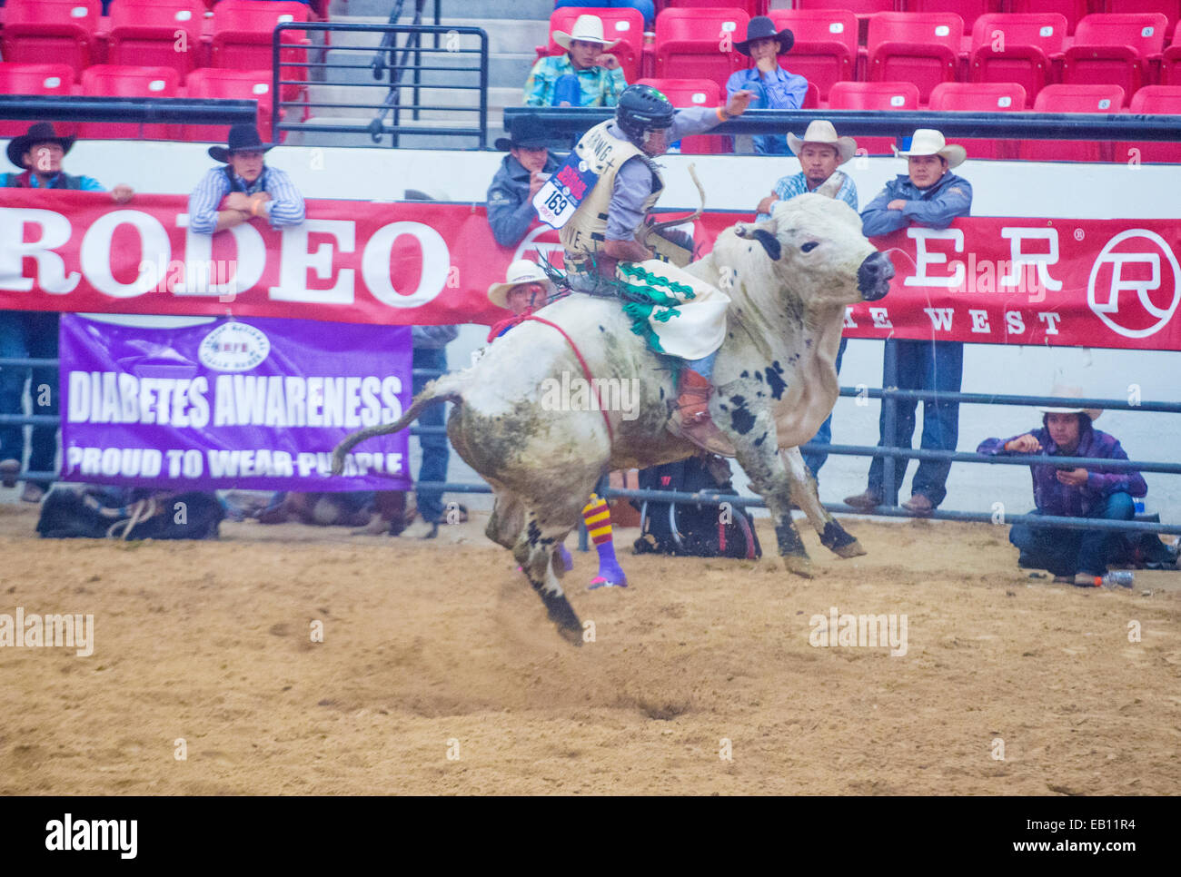 Indian national finals rodeo hi-res stock photography and images - Alamy