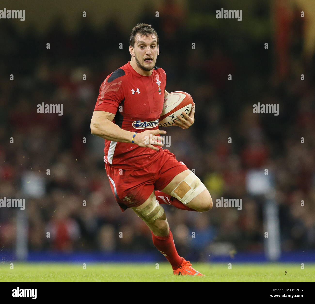 Cardiff, UK. 22nd Nov, 2014. Sam Warburton of Wales - Autumn Test ...