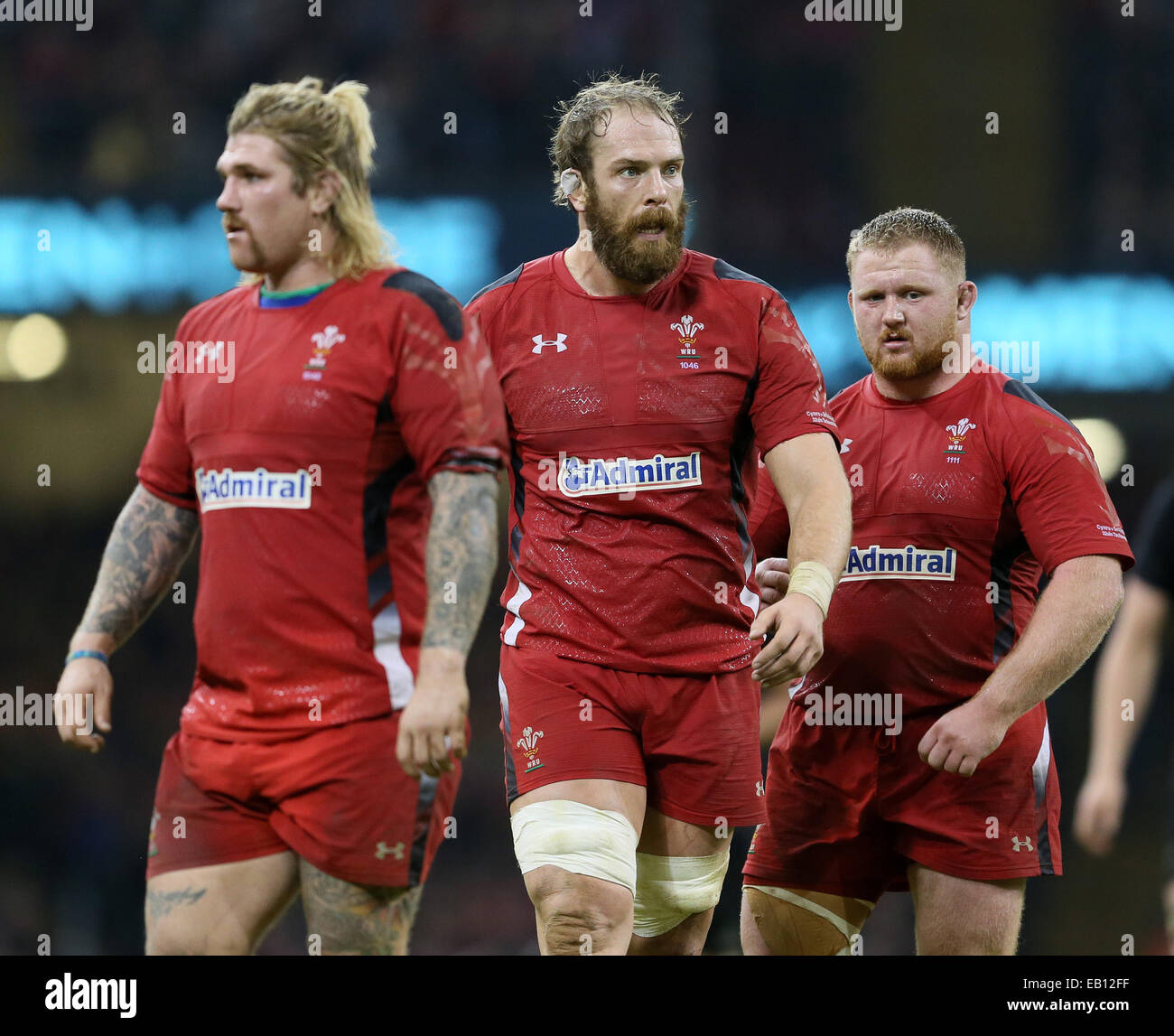 Cardiff, UK. 22nd Nov, 2014. Richard Hubbard, Alun Wyn Jones and Samson ...
