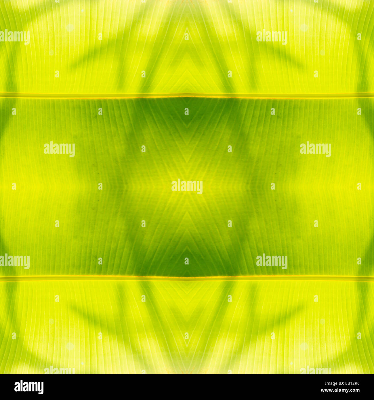 nature green leaf texture decorative design pattern Stock Photo - Alamy