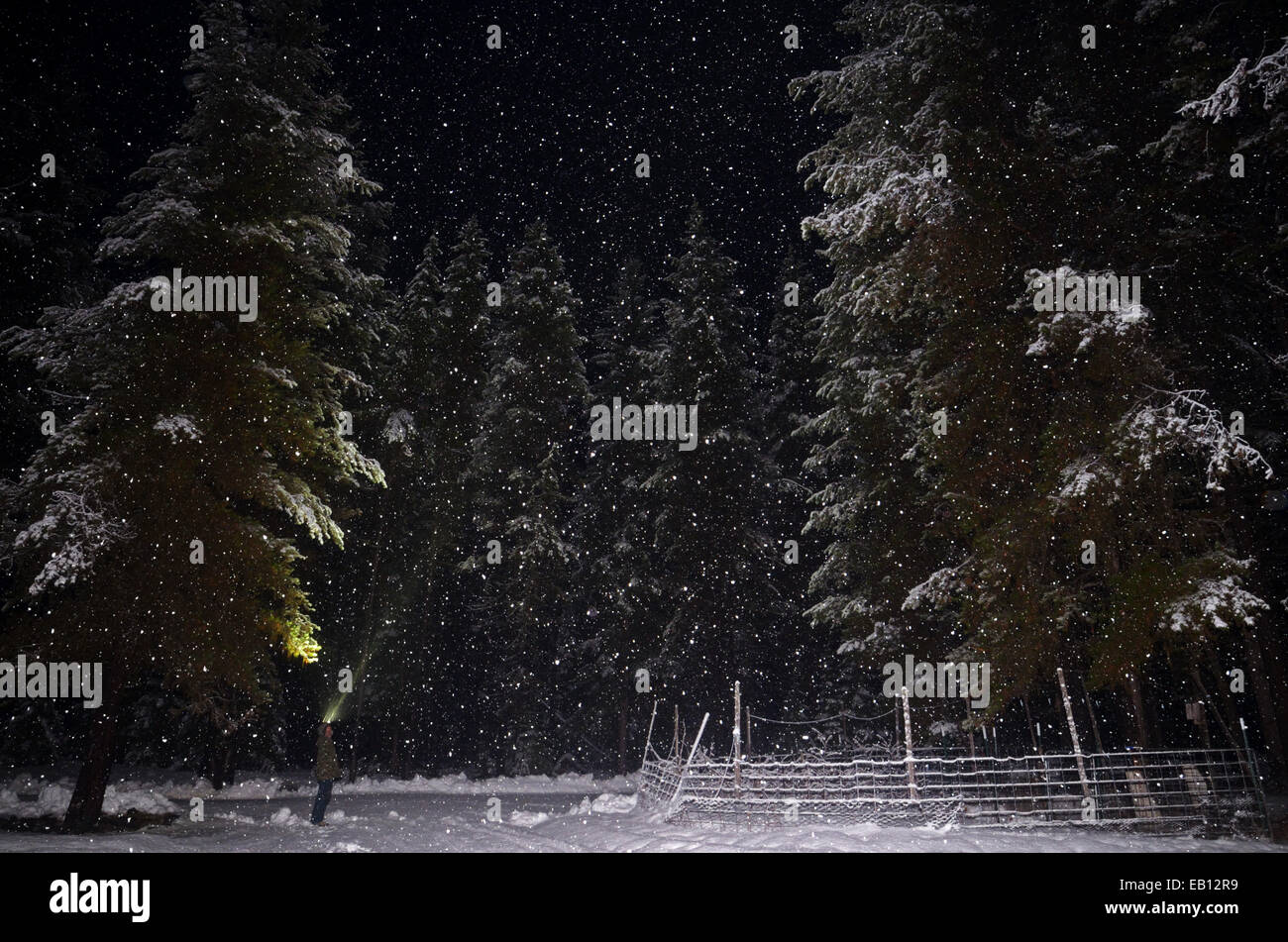 Self portrait at home during a snowstorm at night. Yaak Valley, Montana ...
