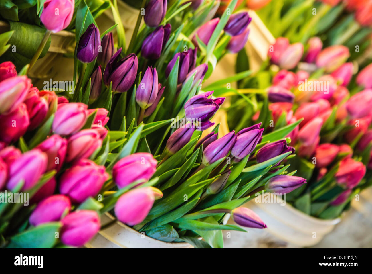 Seattle flower market hi-res stock photography and images - Alamy