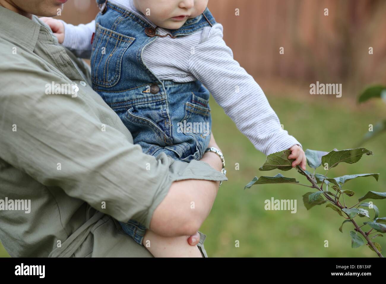 Hand reaching tree hi-res stock photography and images - Alamy