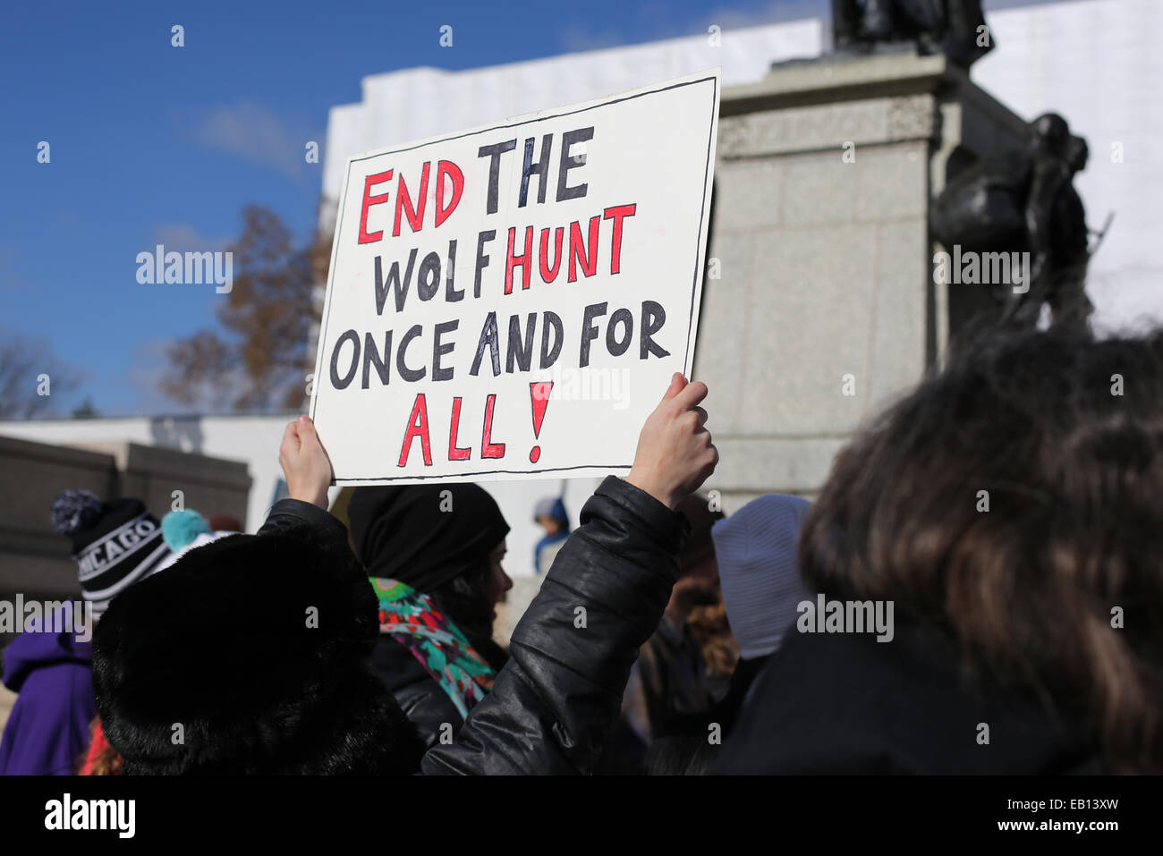 A protester at a rally to end the wolf hunt in Minnesota holding a sign ...
