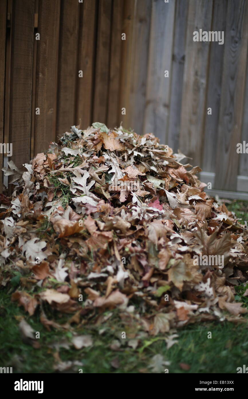 Pile leaf hi-res stock photography and images - Alamy