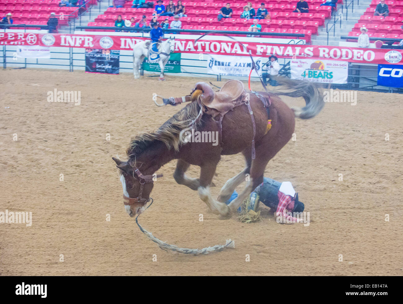 Indian national finals rodeo hi-res stock photography and images - Alamy