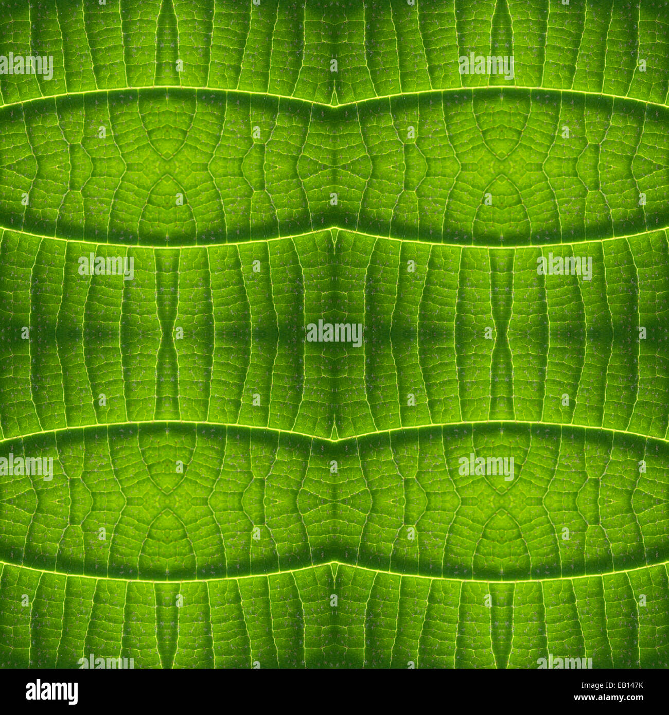 nature green leaf decorative design pattern Stock Photo - Alamy