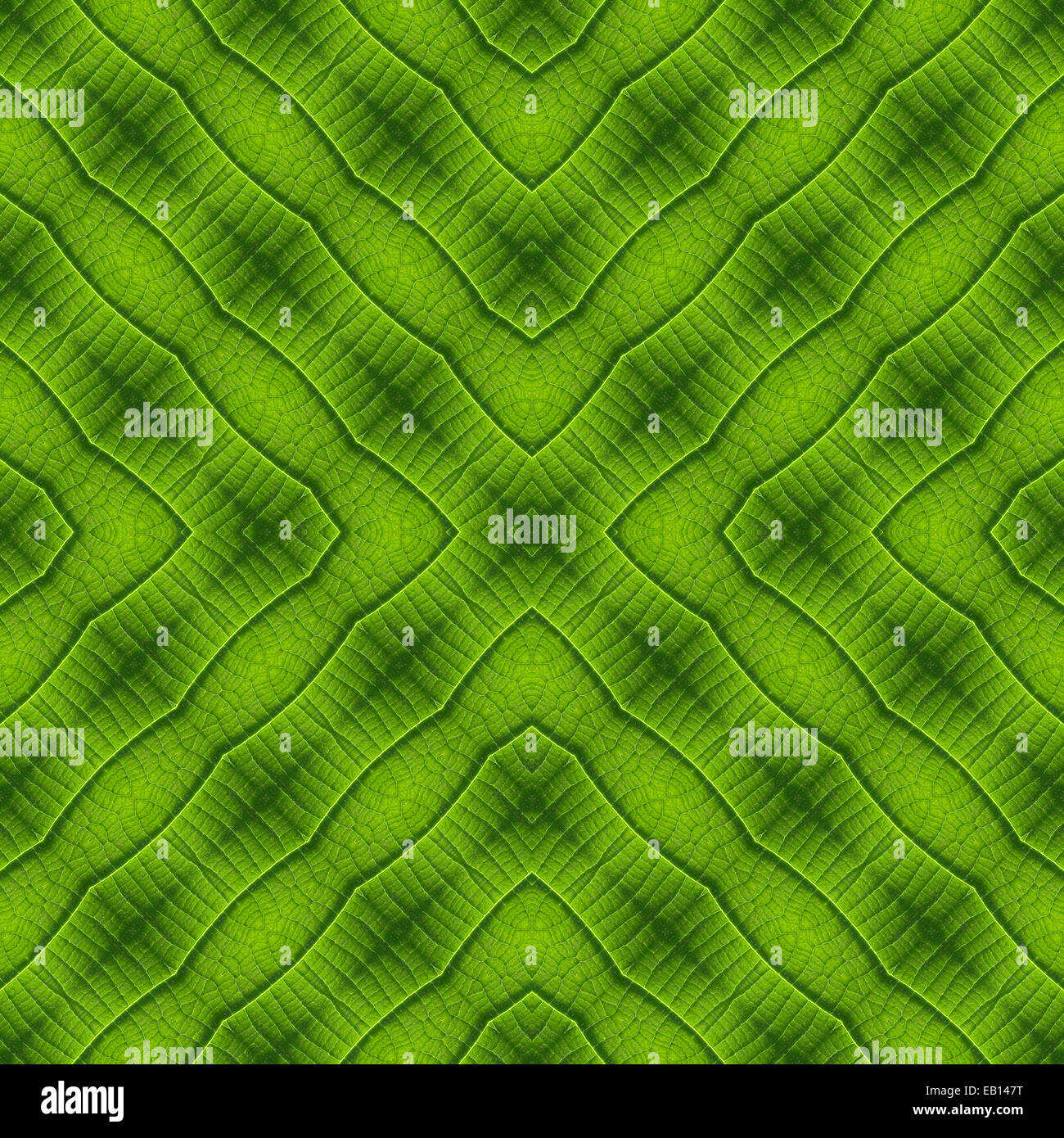 nature green leaf decorative design pattern Stock Photo - Alamy