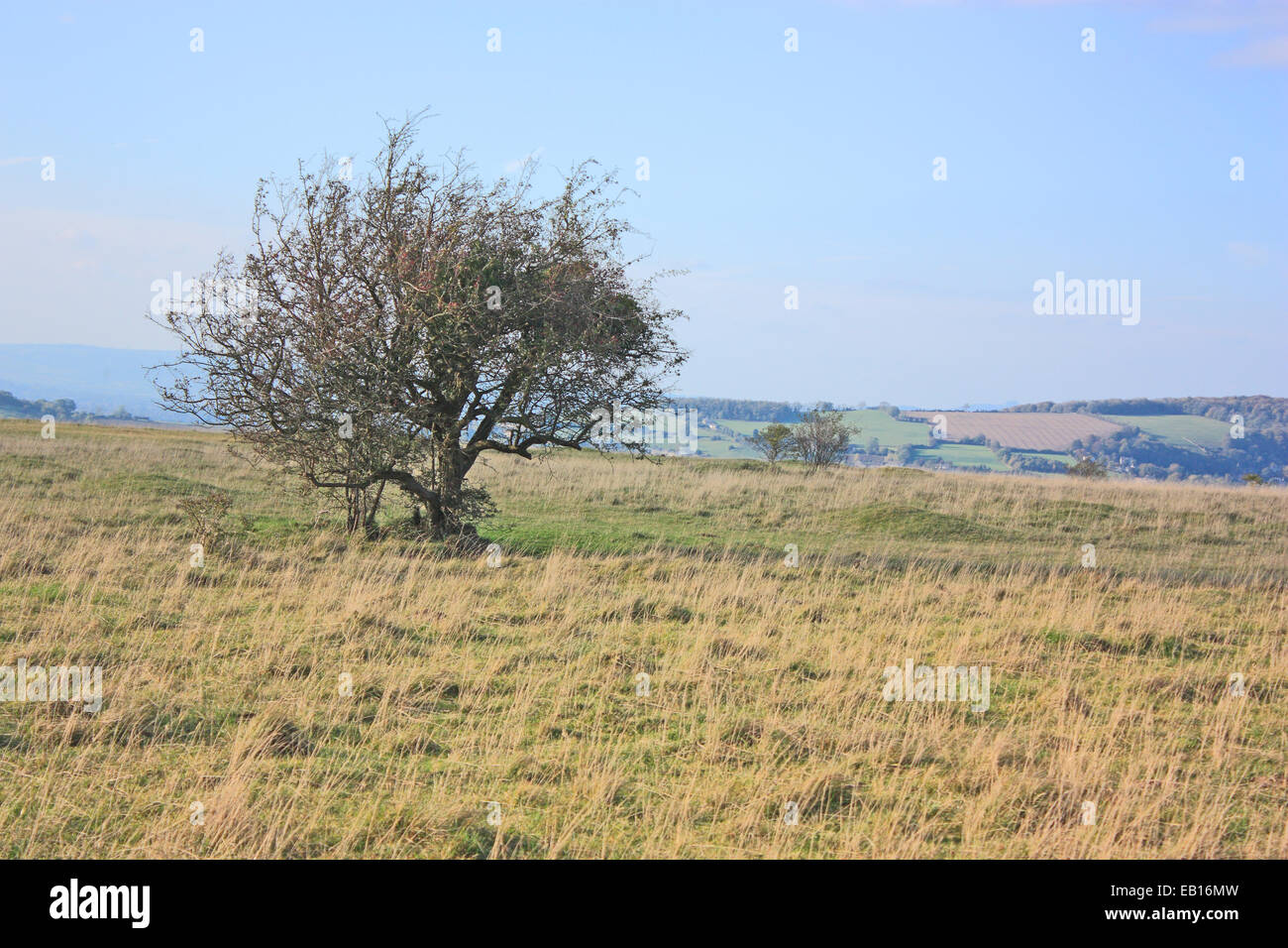 A view looking out at the meadows and valleys of the Cotswolds viewed ...