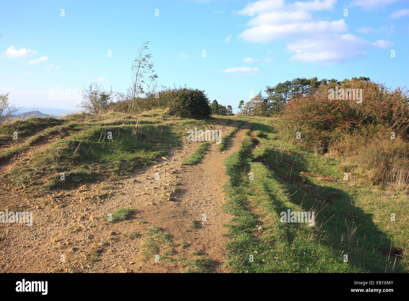 Landscape view of rodborough common hi-res stock photography and images ...