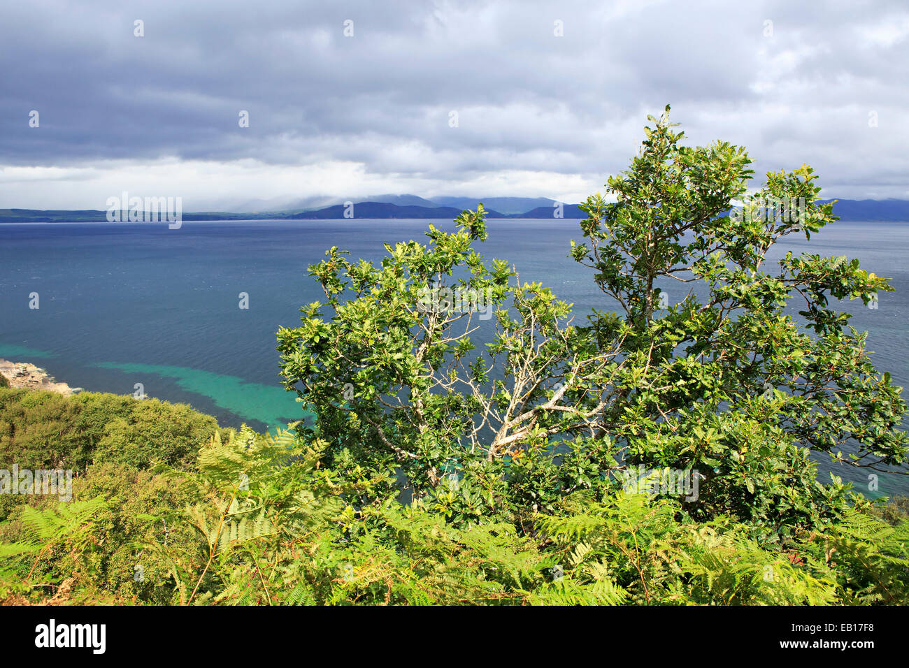 Beautiful Atlantic coast lit by the sun Stock Photo - Alamy