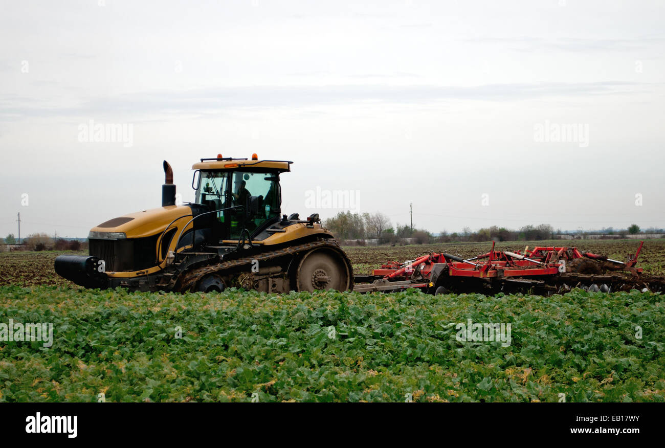 tractor cultivating the land and the forest on the background Stock ...