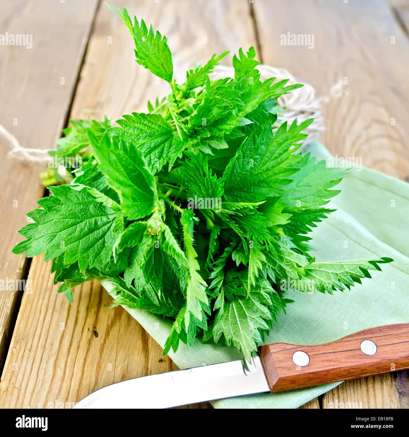 Stinging nettles on plate hi-res stock photography and images - Alamy