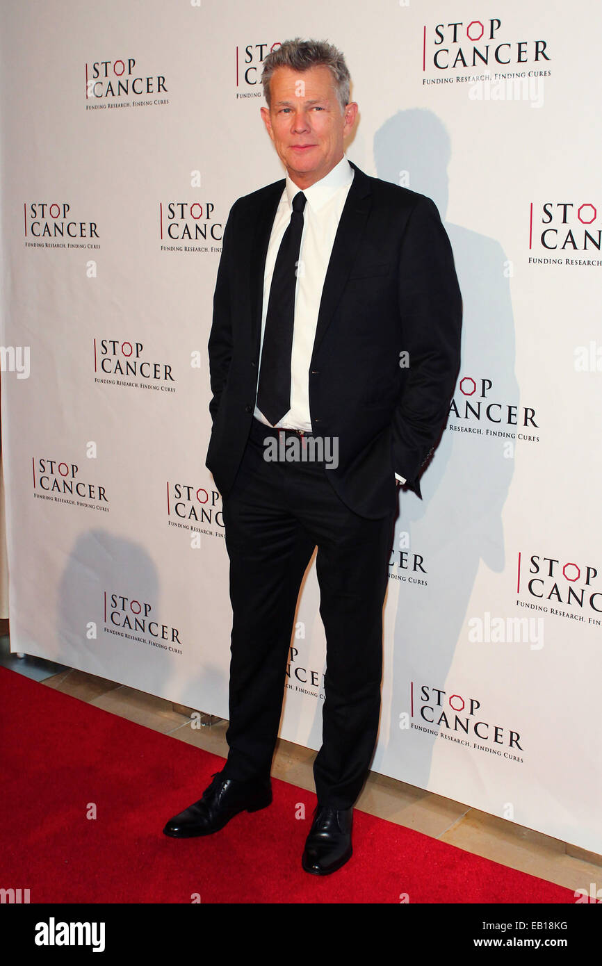 Los Angeles, California, USA. 23rd Nov, 2014. David Foster attends Stop ...