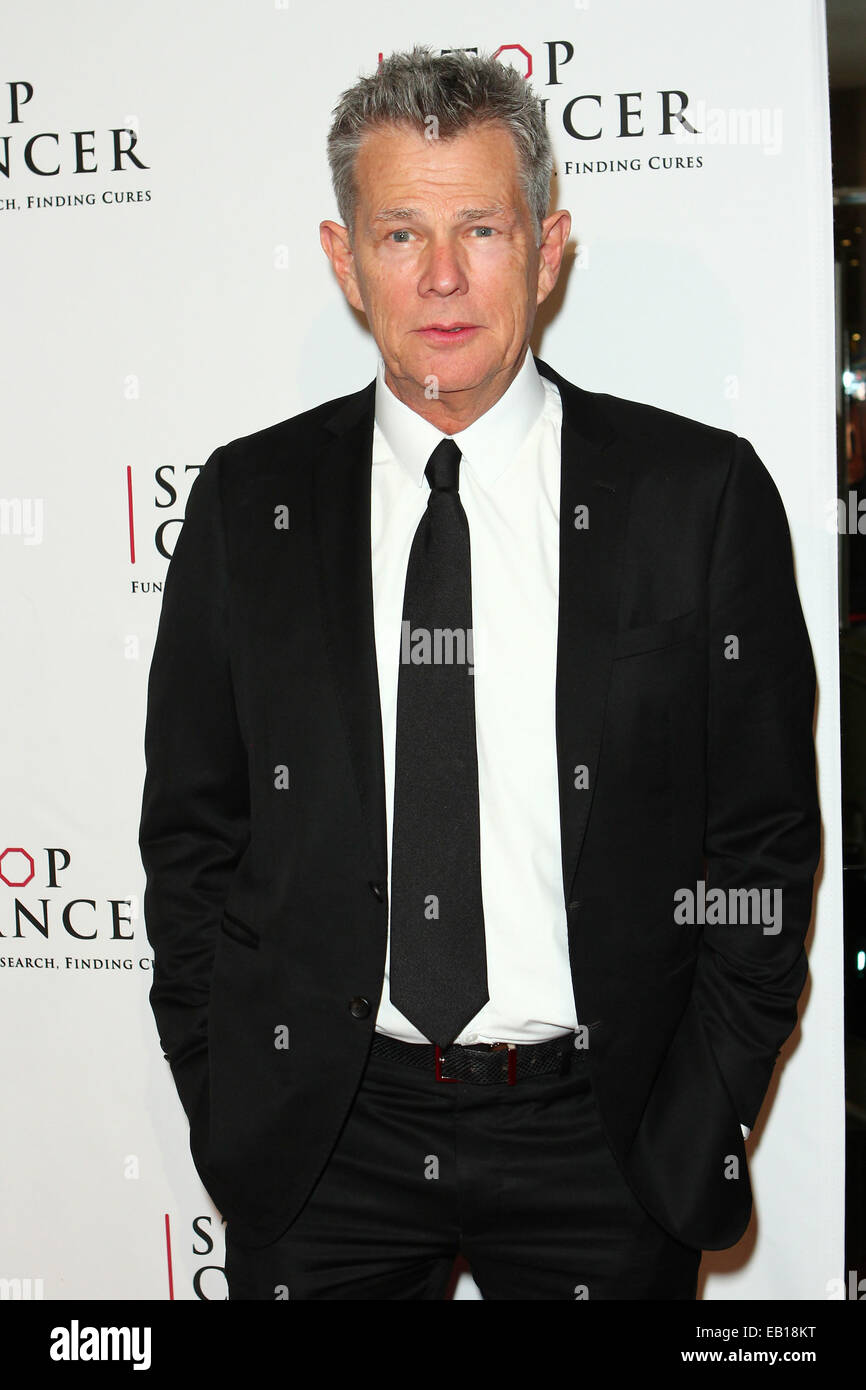 Los Angeles, California, USA. 23rd Nov, 2014. David Foster attends Stop ...