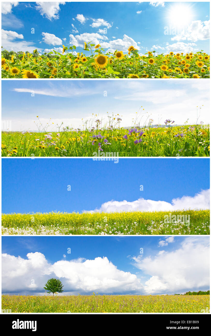 Spring flowers in collage hi-res stock photography and images - Alamy