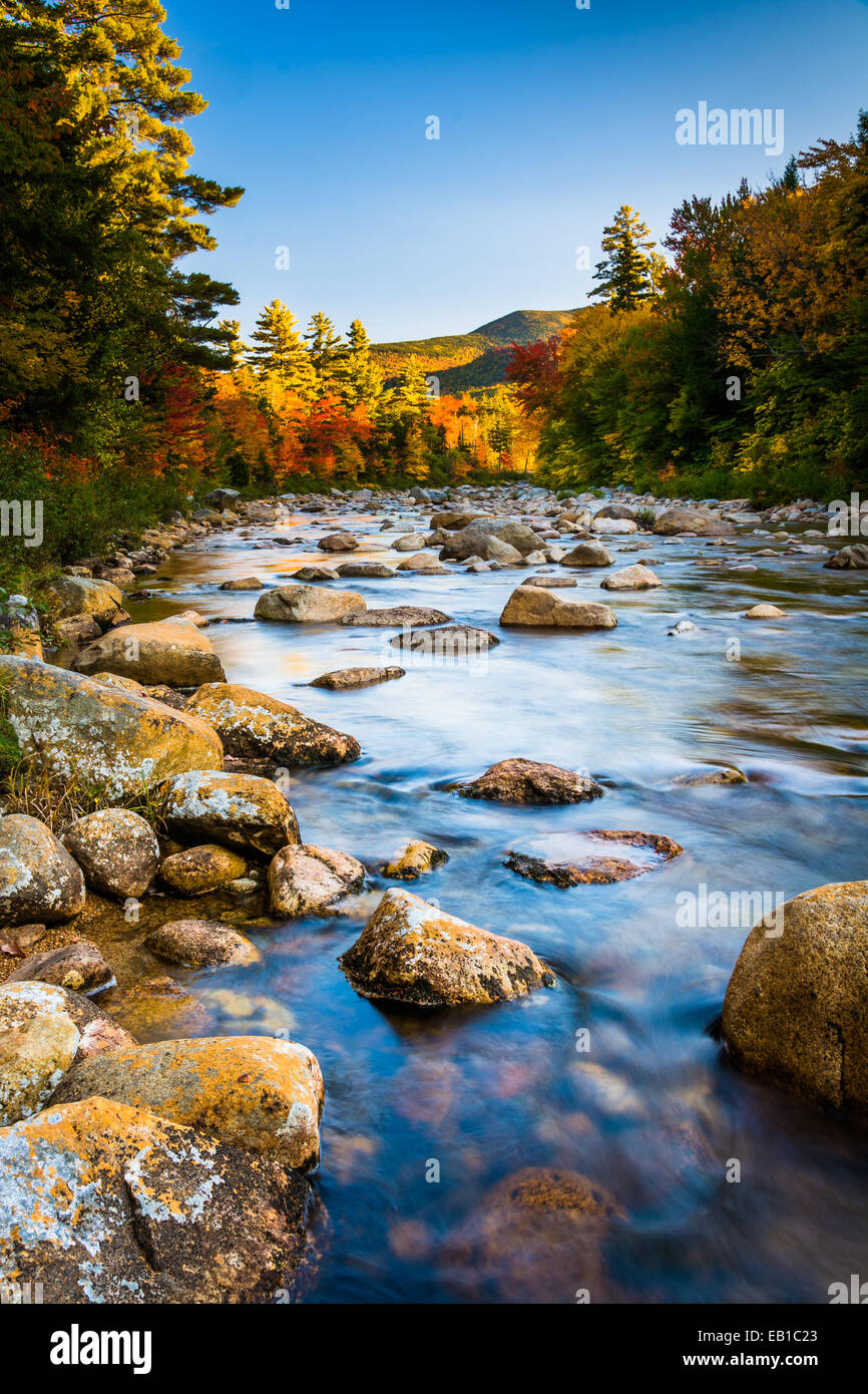 Autumn color along the Swift River, along the Kancamagus Highway in ...