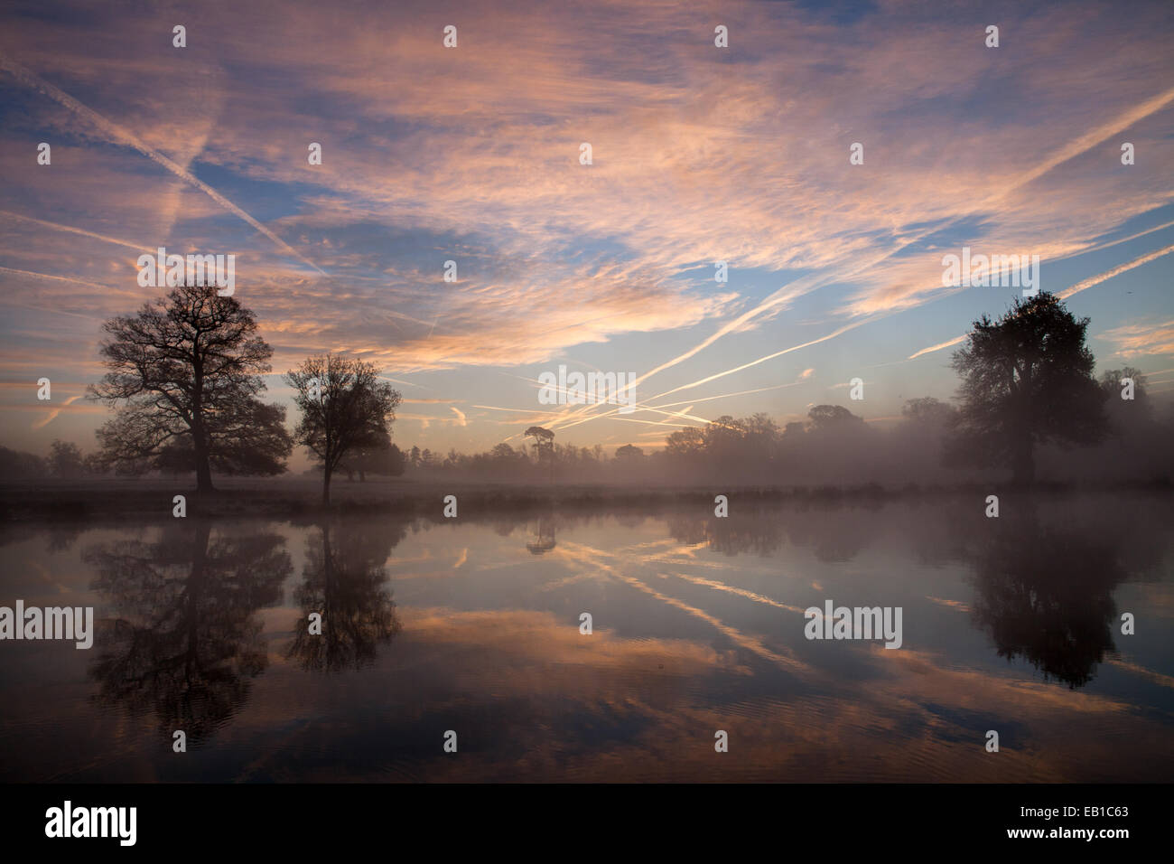 Langley Country Park in Slough, Berkshire, UK. 24th November, 2014 ...