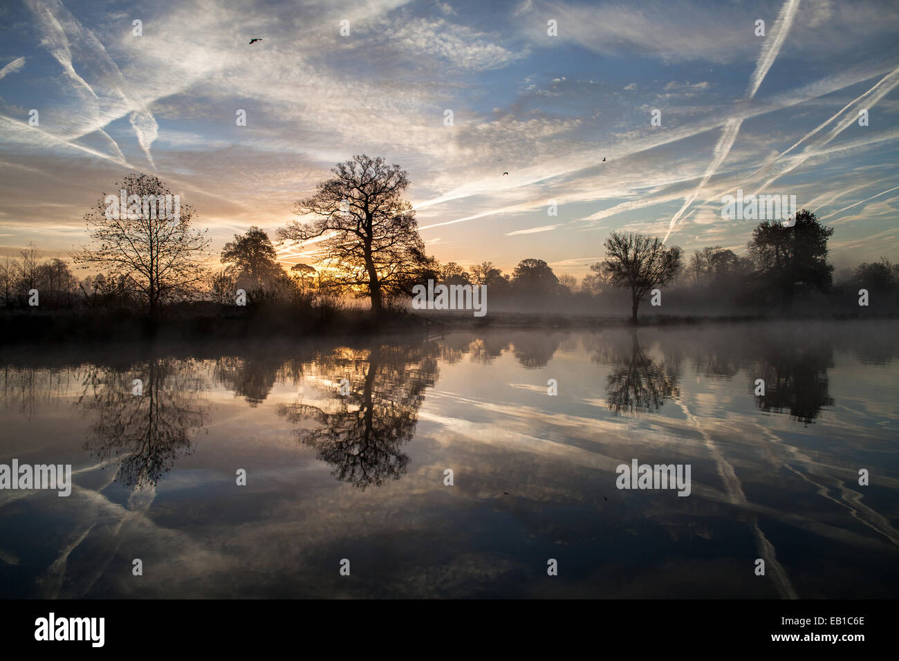 Langley Country Park in Slough, Berkshire, UK. 24th November, 2014 ...