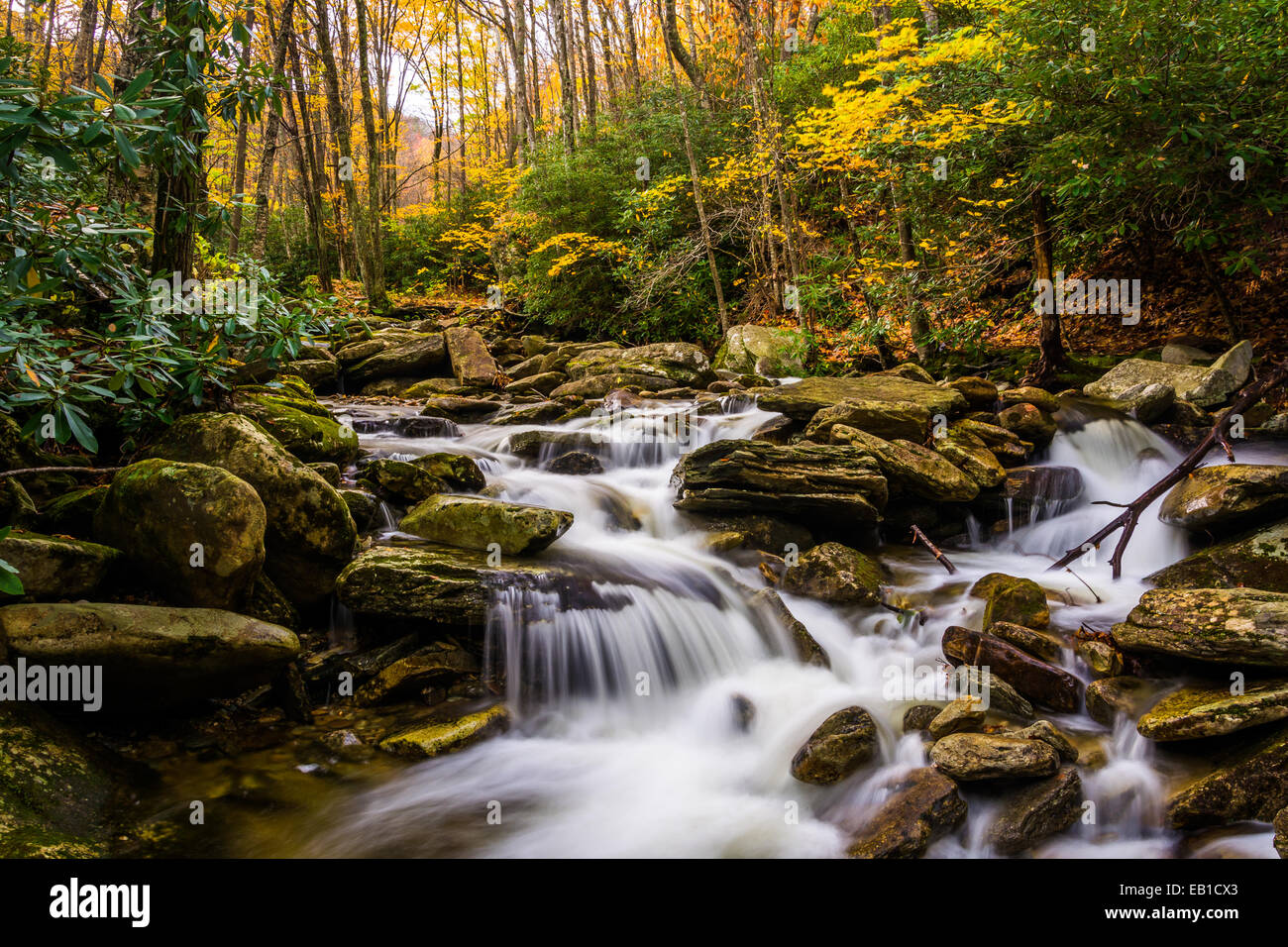 Autumn color and cascades on Boone Fork along the Blue Ridge Parkway ...