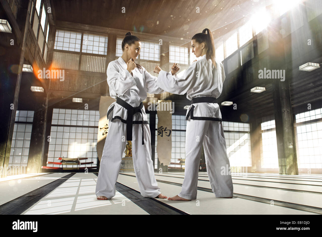 Japanese women karate hi-res stock photography and images - Alamy