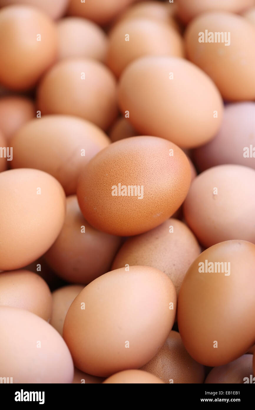 Many fresh brown eggs sale hi-res stock photography and images - Alamy
