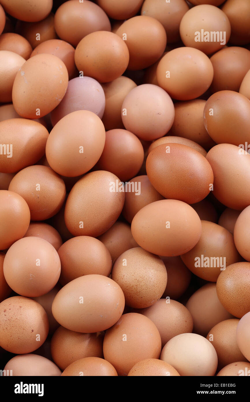 Many fresh brown eggs sale hi-res stock photography and images - Alamy