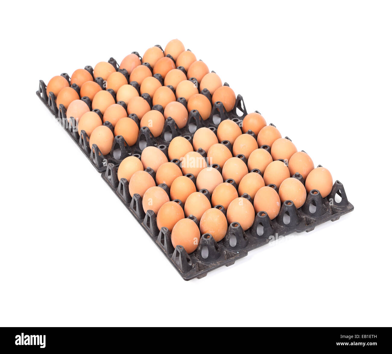 eggs in tray on a white background Stock Photo - Alamy