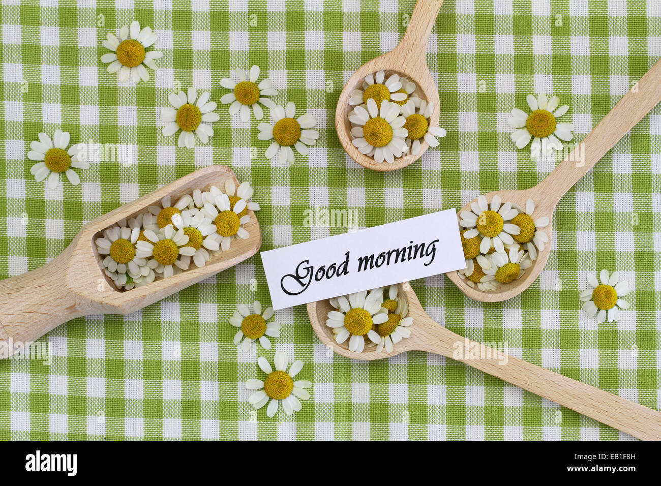 Good morning card with chamomile flowers on wooden spoons on checkered ...