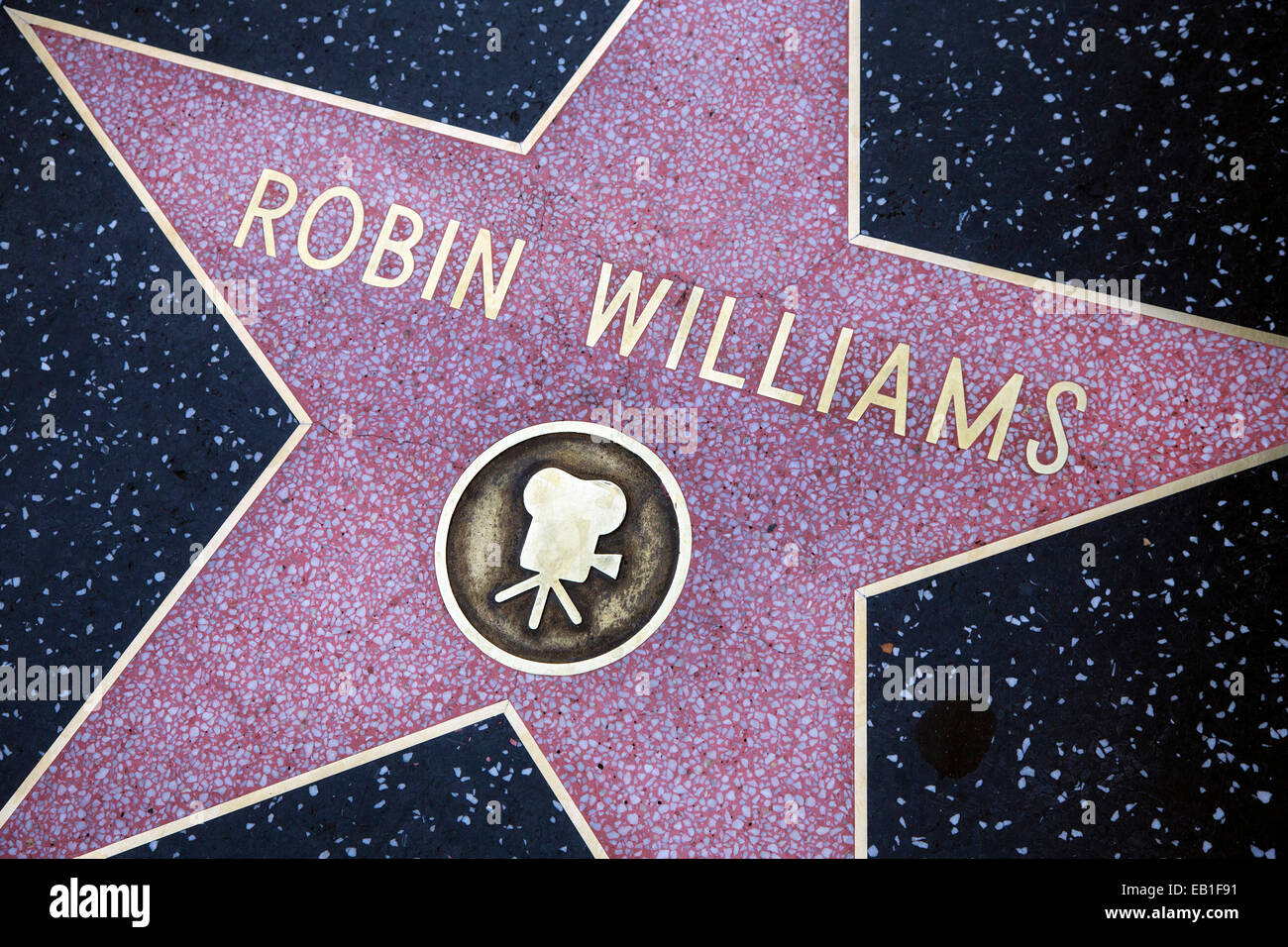 Robin Williams Star on the Walk of Fame, Hollywood Blvd., Hollywood ...