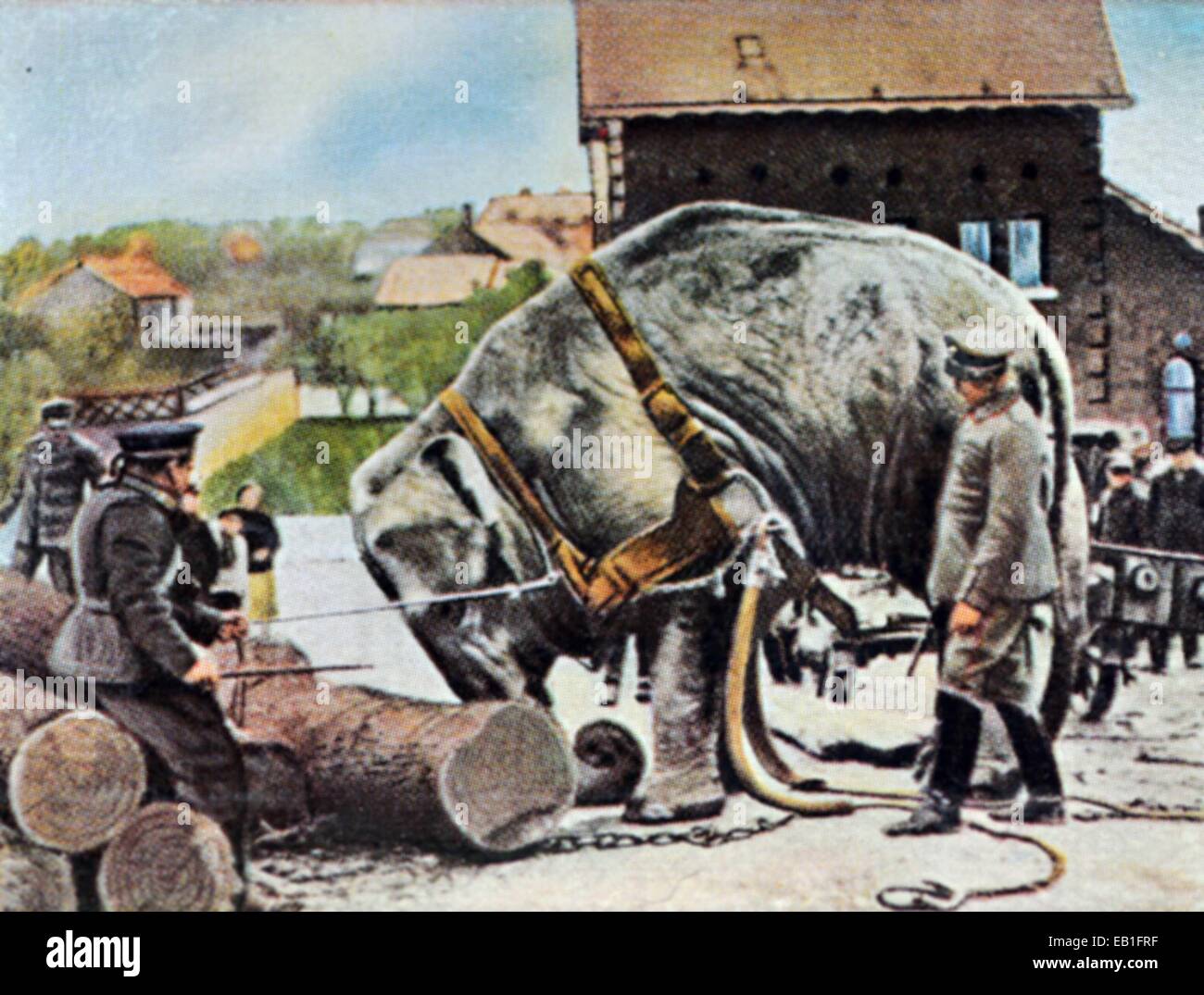 A contemporary German colorized propaganda photo shows a family of ...