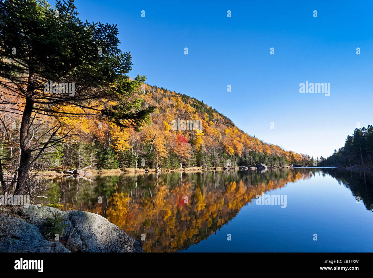 Pinkham notch hi-res stock photography and images - Alamy