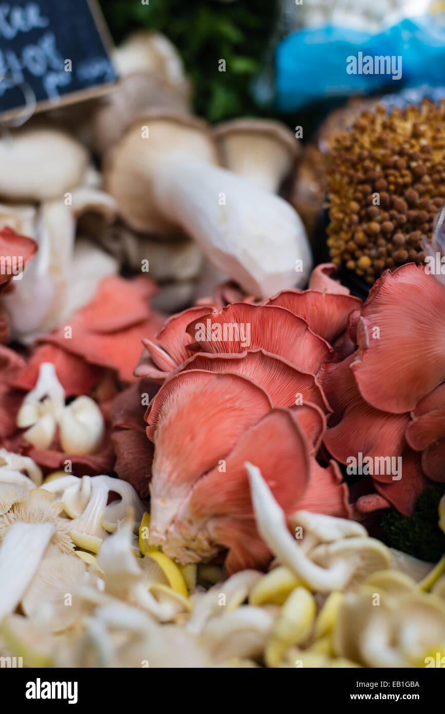 Mushroom Stall at Borough Market, London, UK Stock Photo - Alamy