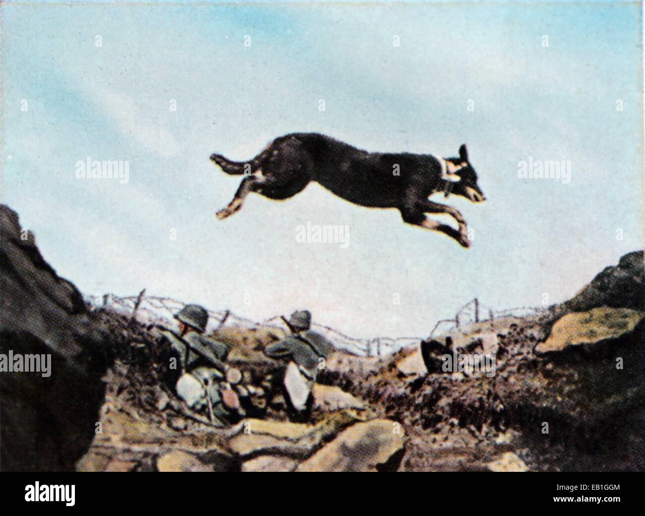 1914 1918 trench warfare colour hi-res stock photography and images - Alamy