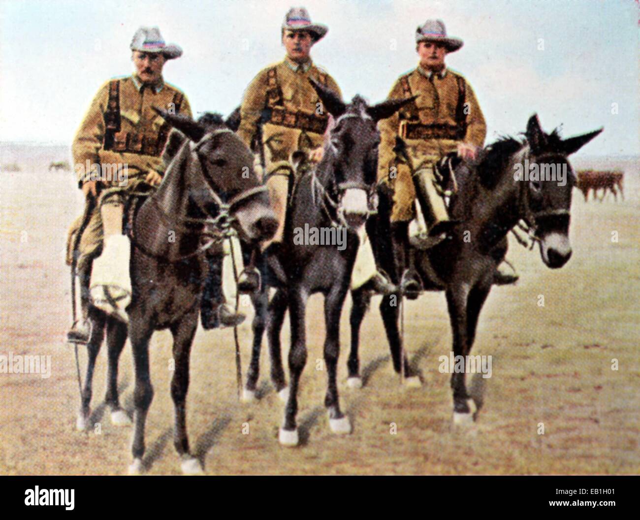 Deutsche schutztruppe afrika hi-res stock photography and images - Alamy