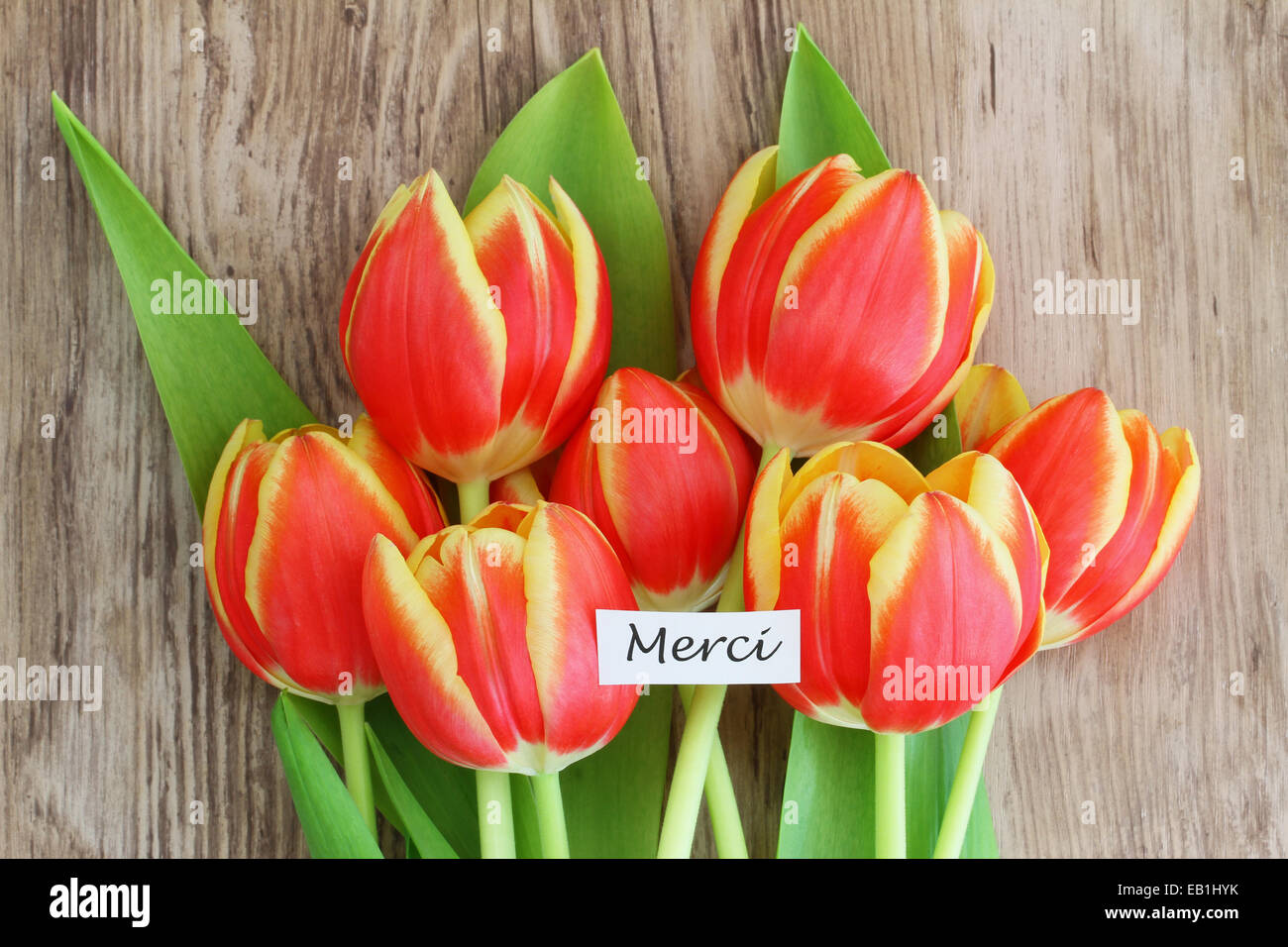 Merci Card Which Means Thank You In French With Red And Yellow merci-card-which-means-thank-you-in-french-with-red-and-yellow