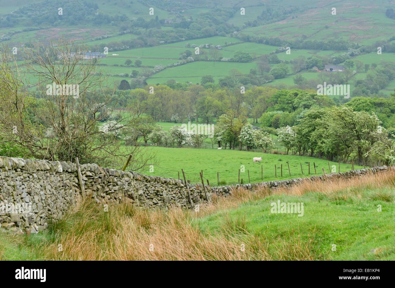 Edale Valley, Peak District National Park, Great Britain Stock Photo ...