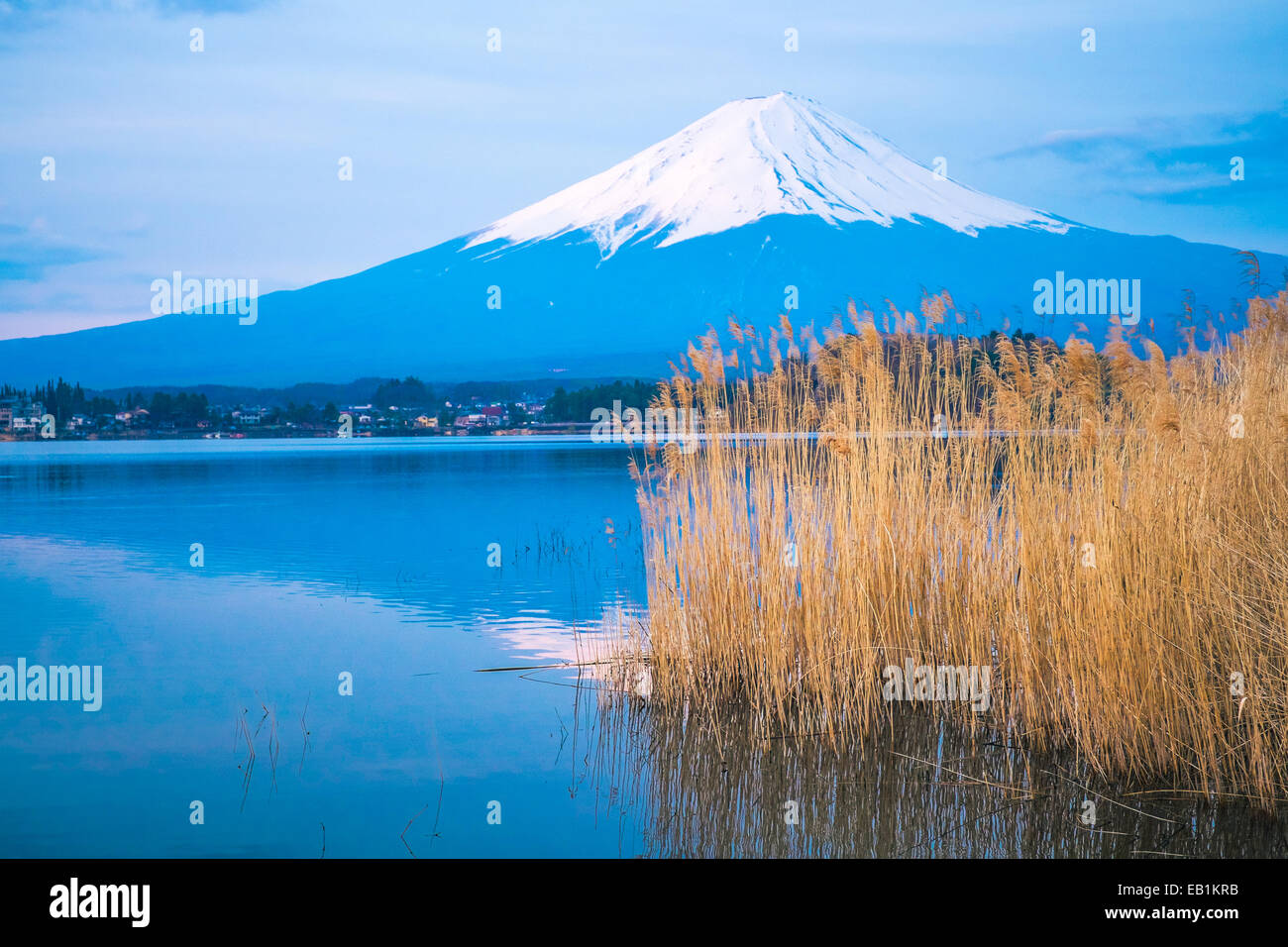 The beautiful mount Fuji in Japan at sunrise Stock Photo - Alamy