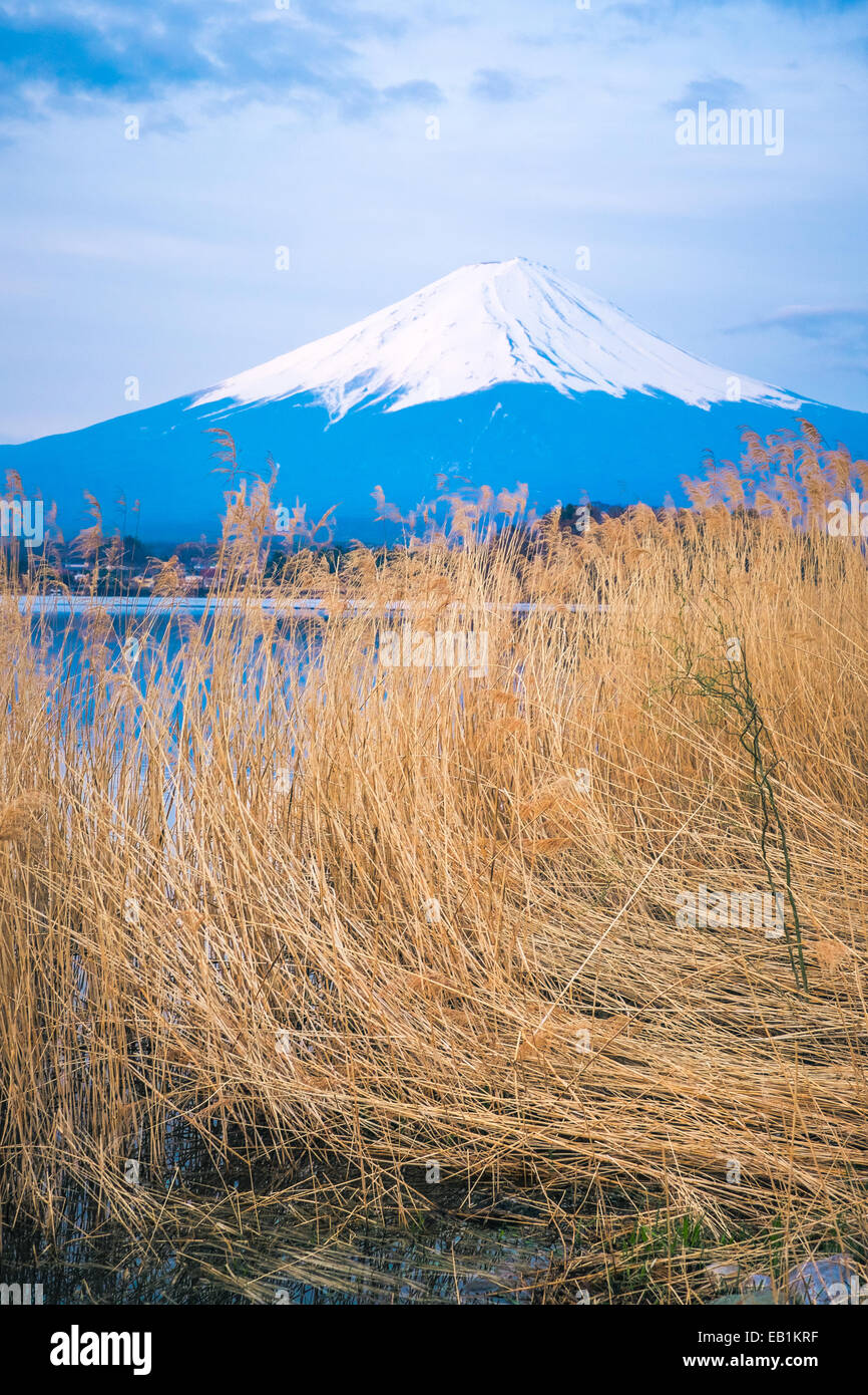The beautiful mount Fuji in Japan at sunrise Stock Photo - Alamy