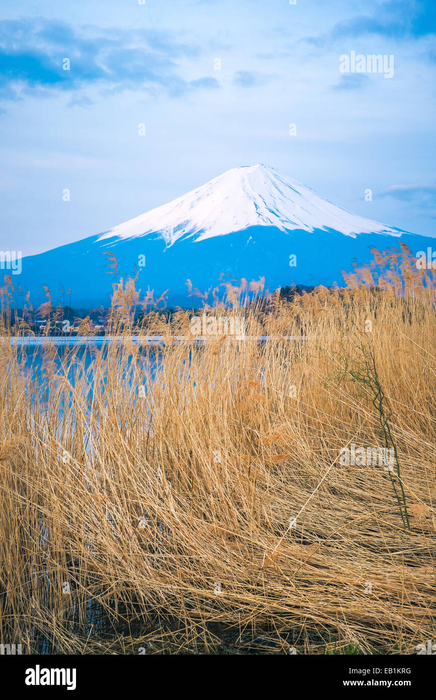 The beautiful mount Fuji in Japan at sunrise Stock Photo - Alamy