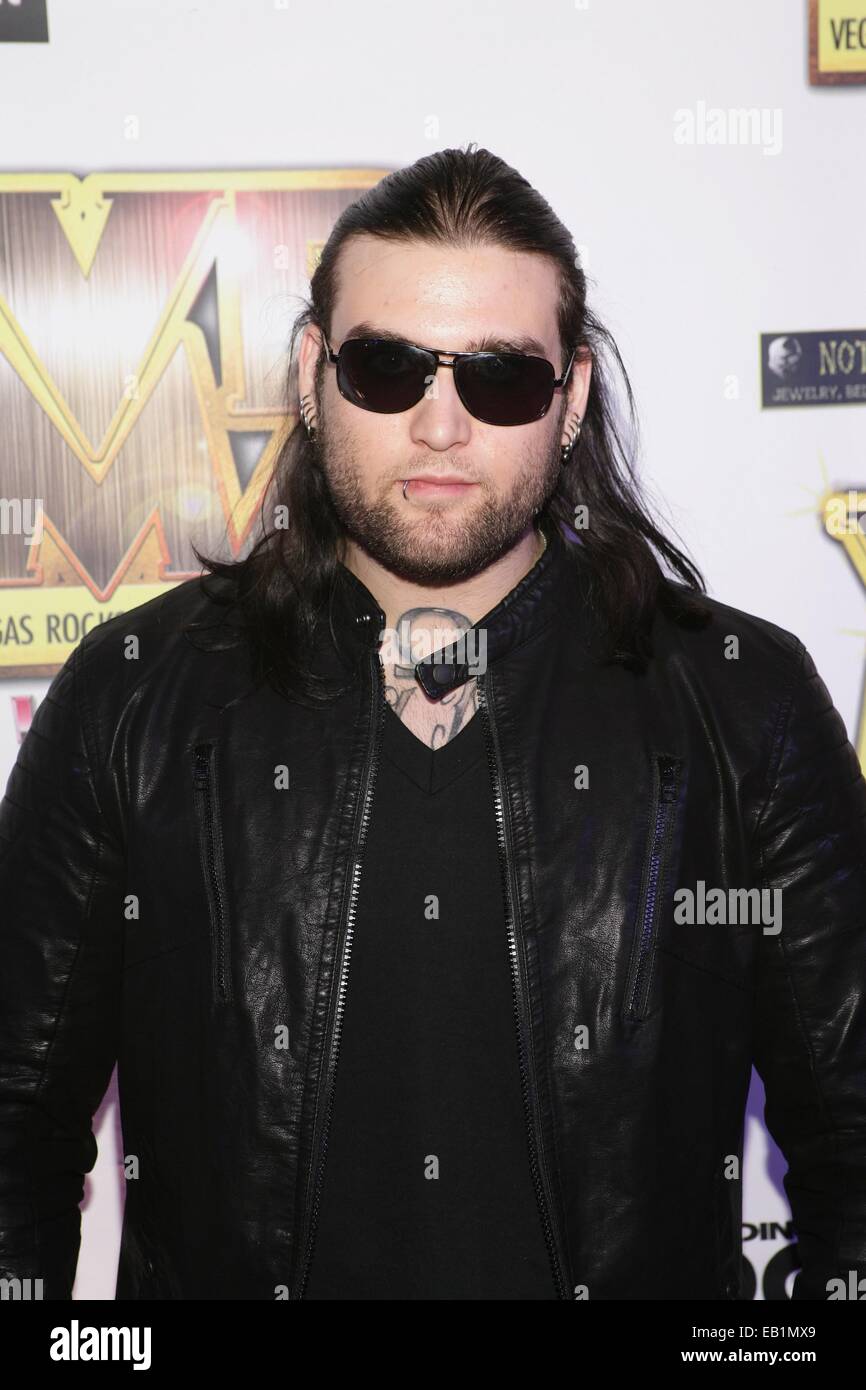 Las Vegas, NV, USA. 23rd Nov, 2014. Weston Cage at arrivals for Vegas ...