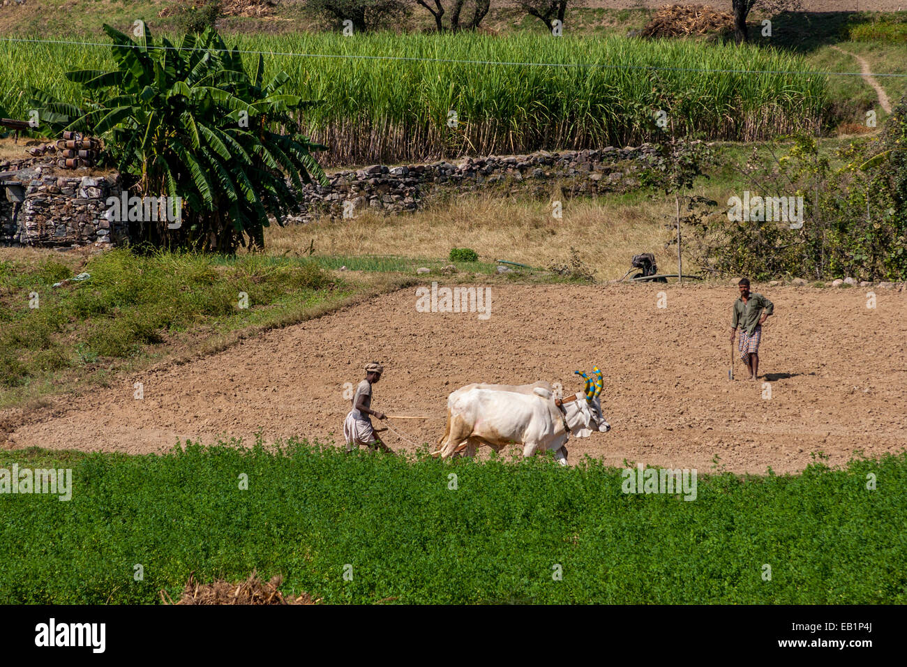 Man plough hi-res stock photography and images - Alamy