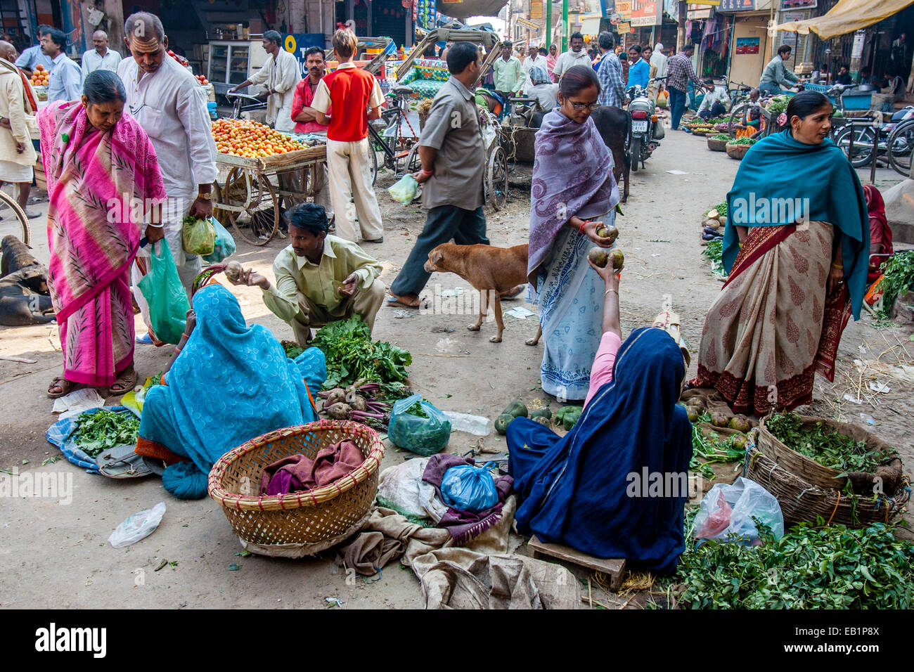 Vegetable Market, Varanasi, Uttar Pradesh, India Stock Photo - Alamy