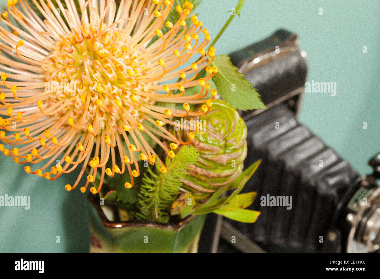 Vintage camera in beautiful setting with bright yellow flower, set ...
