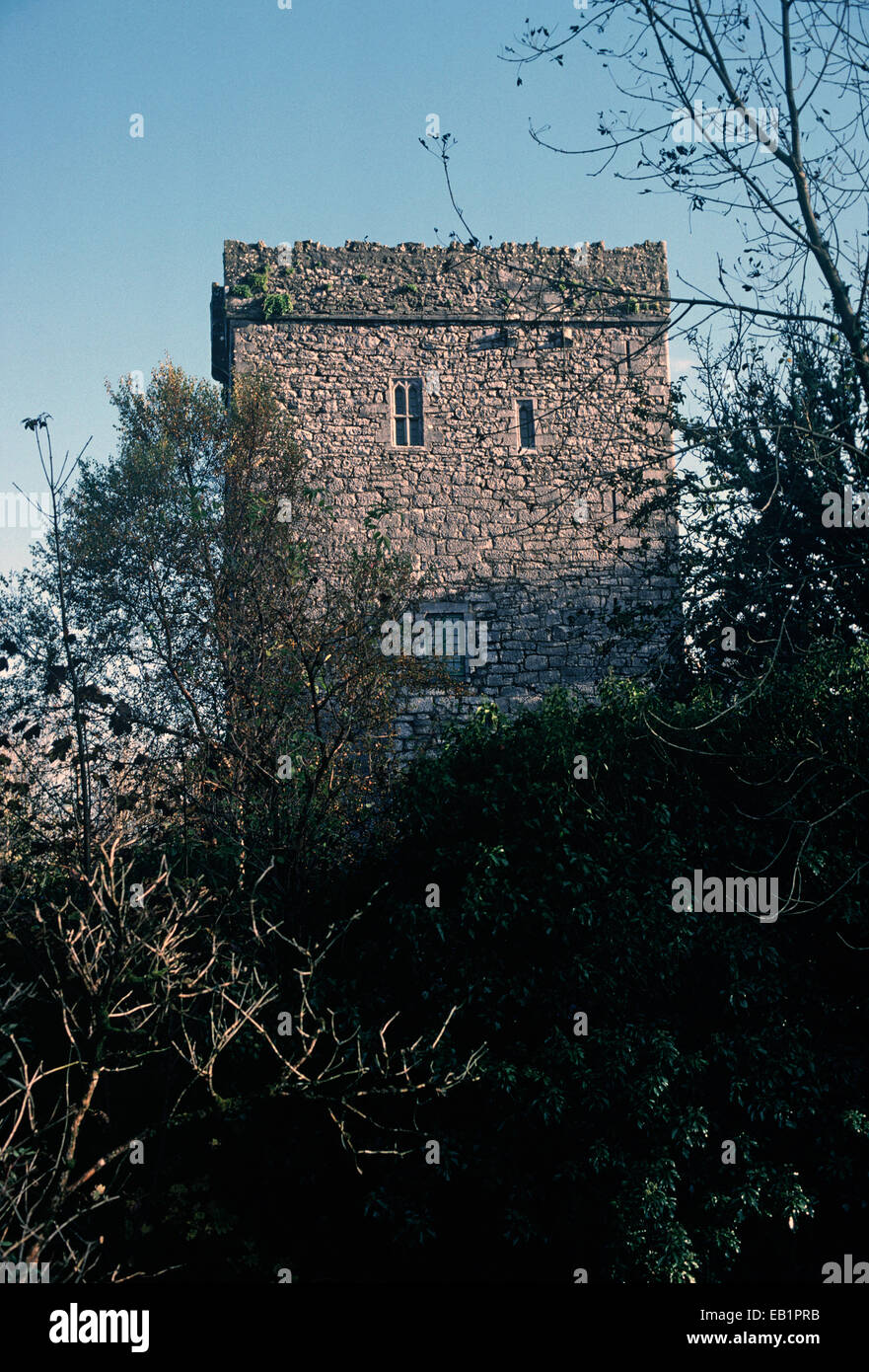 THOOR BALLYLEE, BALLYLEE CASTLE, NORMAN TOWER HOUSE, HOME OF POET ...