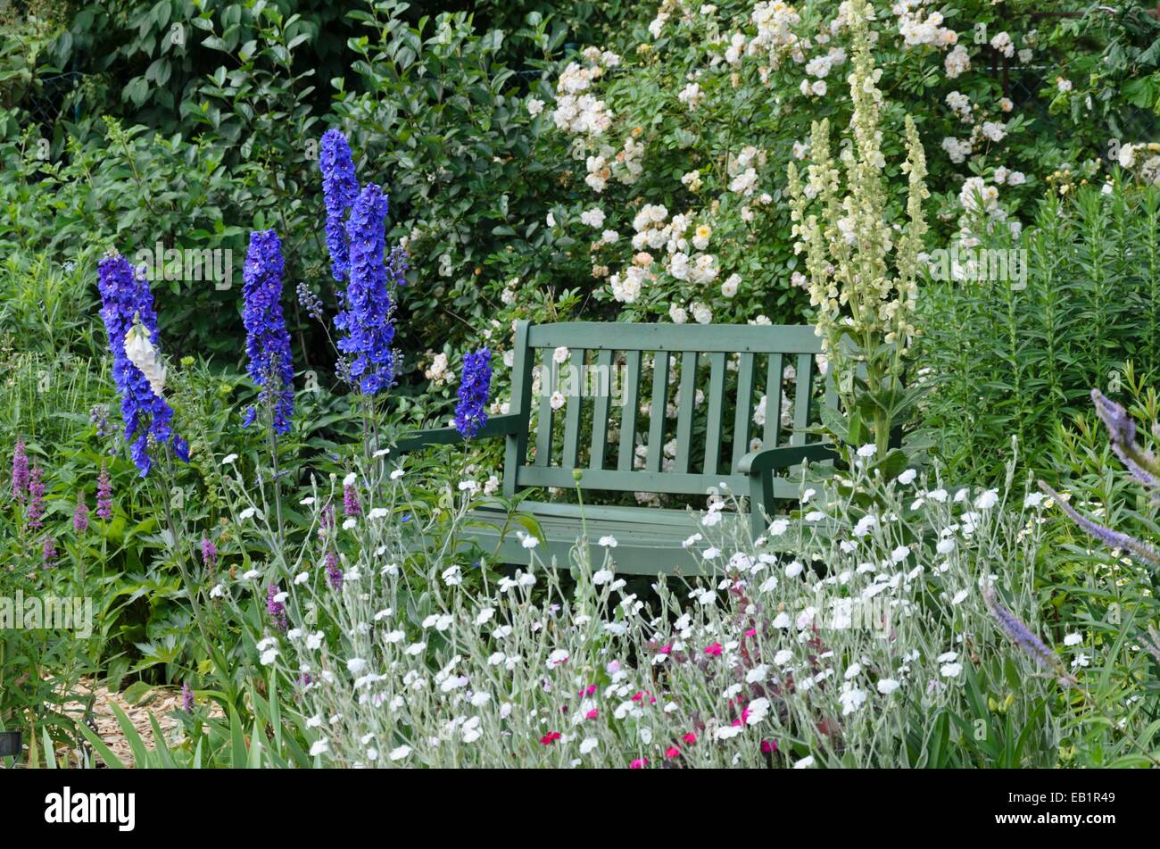 Delphinium garden white hi-res stock photography and images - Alamy